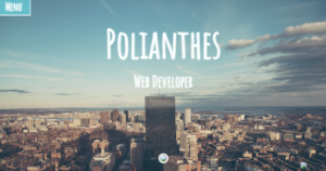 10+ HTML CSS Portfolio Websites (Demo + Source Code)