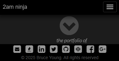 10+ HTML CSS Portfolio Websites (Demo + Source Code)