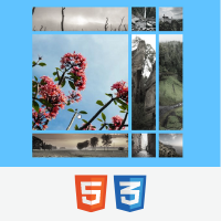 Create an image gallery with CSS Grid (Expandable Grid Gallery )
