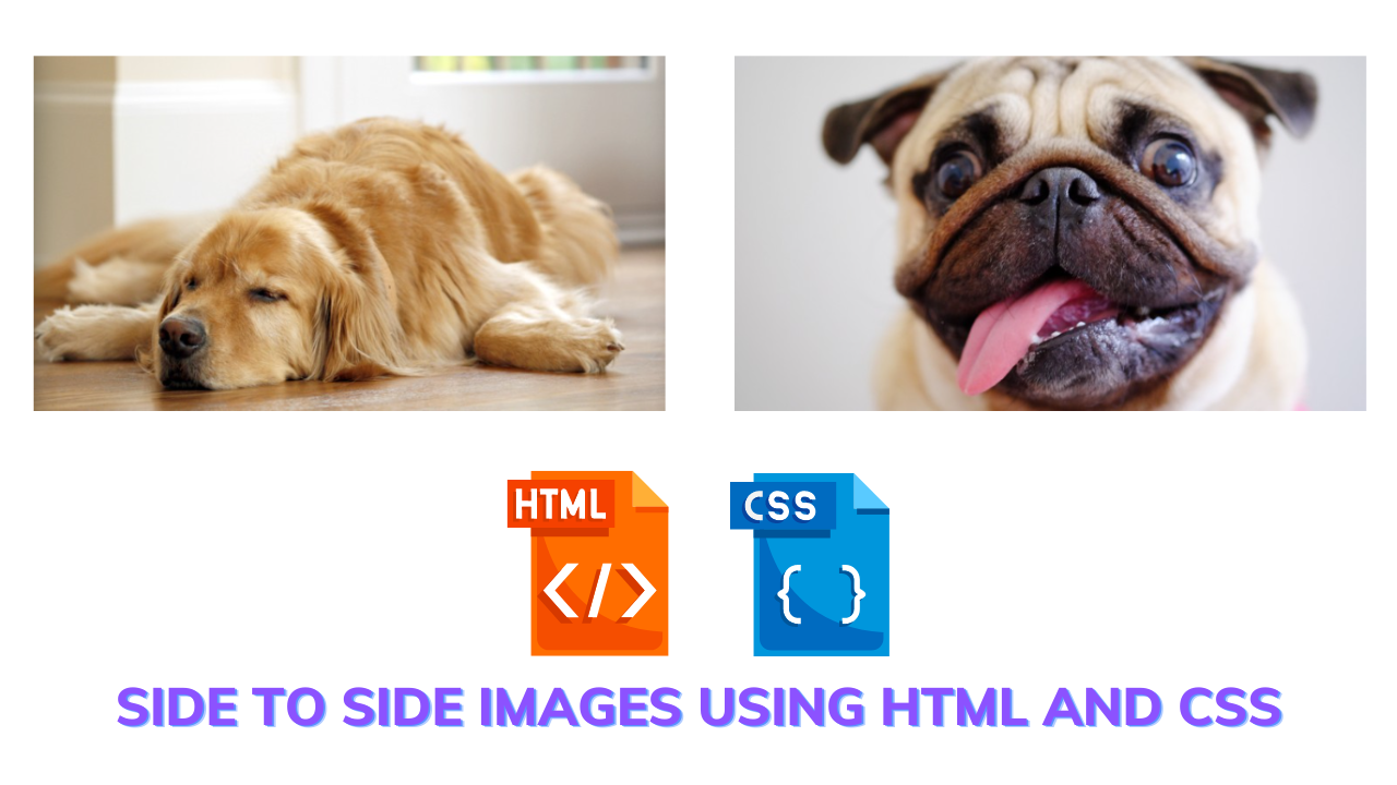 Create Side By Side Images Using Html And Css Source Code