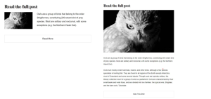 Create a Read More Button using HTML And CSS Only