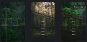 100+ CSS Card Design (Free demo+ code)