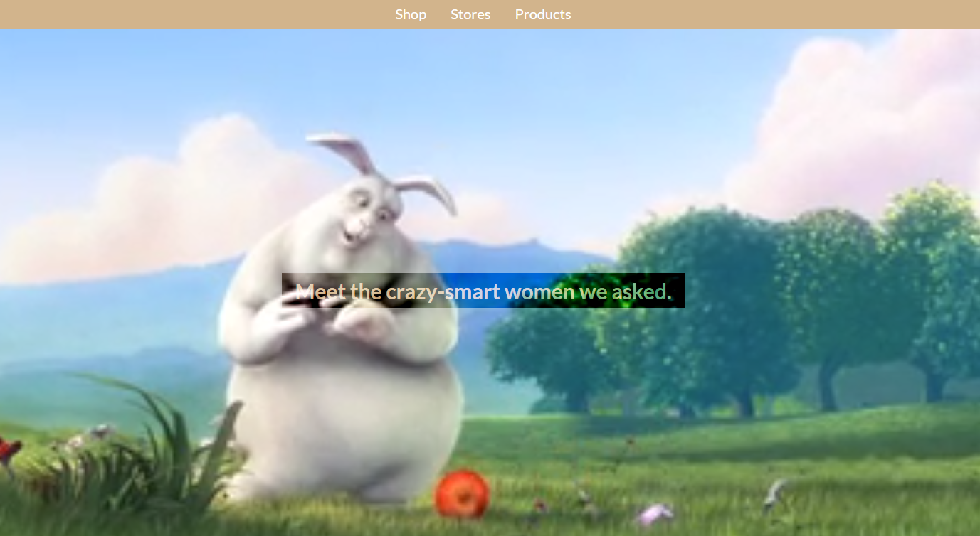 How To Add Text On Background Video In Html And Css