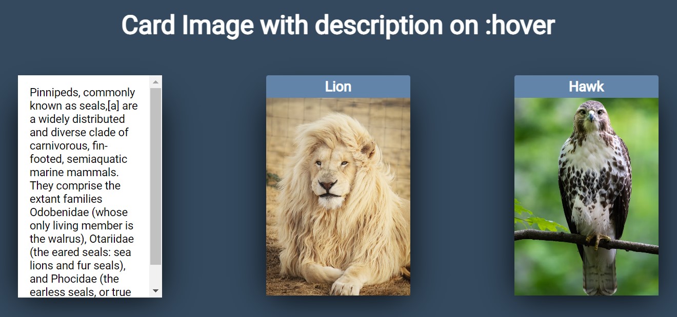 100+ CSS Card Design (Free demo+ code)
