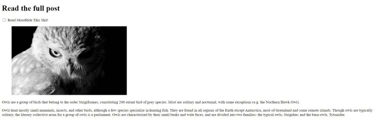 Create a Read More Button using HTML And CSS Only