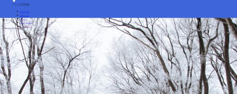 How To Create A Responsive Header Using HTML & CSS