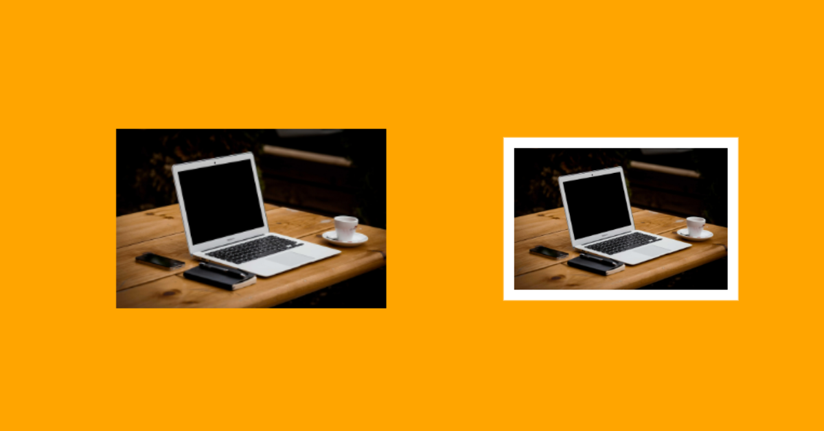 Creating Forms Using Html And Css Design Talk