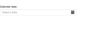 28+ Bootstrap Date Picker (Demo + Code)