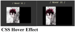 19+ CSS Image Hover Effects [Demo + Code ]