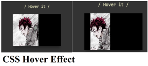 19+ CSS Image Hover Effects [Demo + Code ]