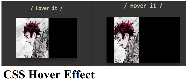 19+ CSS Image Hover Effects [Demo + Code ]