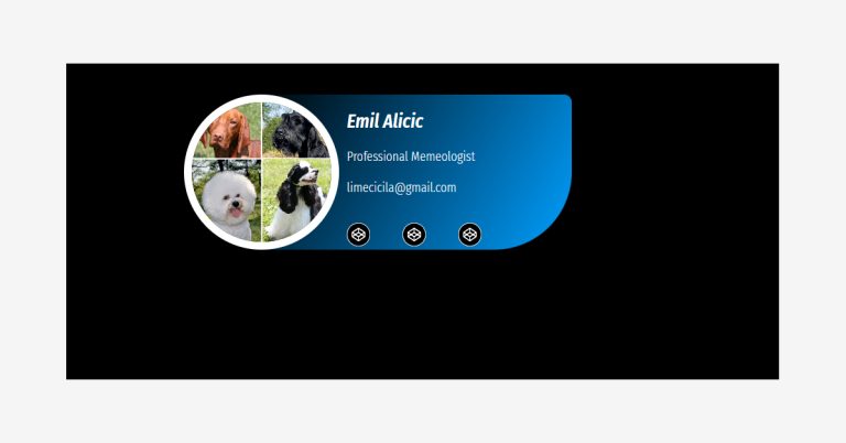 20+ CSS Profile Card Designs (2024 Update)