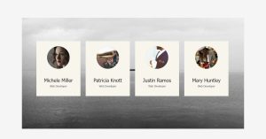 20+ CSS Profile Card Designs (2024 Update)