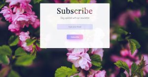 Best 15 CSS Subscribe Form Designs
