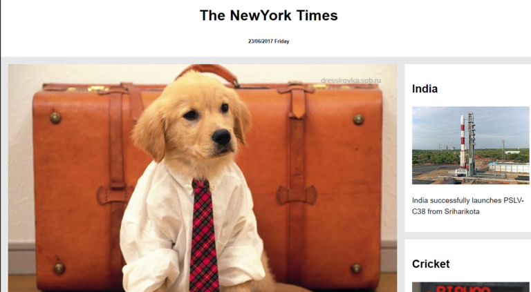 15+ HTML CSS Projects With Source Code (2024 Edition)