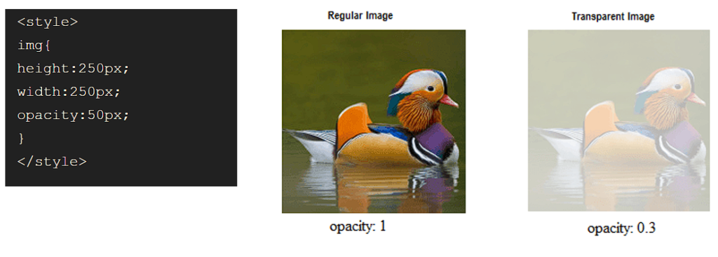 Top 25 CSS Interview Questions (2023) - CodeWithRandom