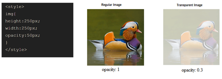 Top 25 CSS Interview Questions (2023) - CodeWithRandom