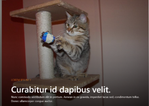 15+ jQuery Slick Slider - CodeWithRandom