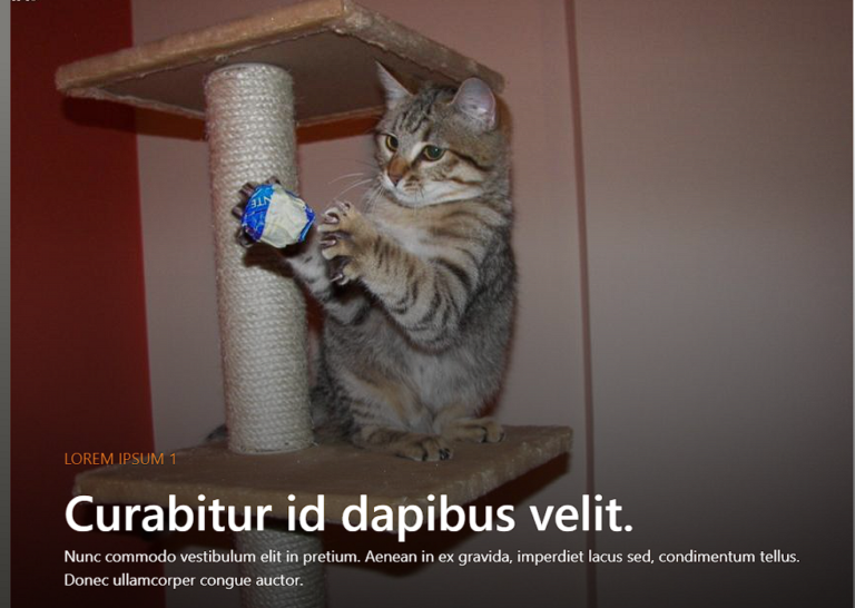 15+ jQuery Slick Slider - CodeWithRandom