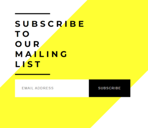 15+ CSS Subscribe Forms - CodeWithRandom