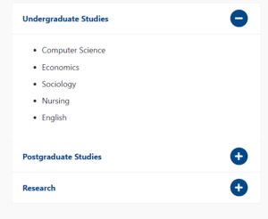 20+ Bootstrap Accordions Style - CodeWithRandom