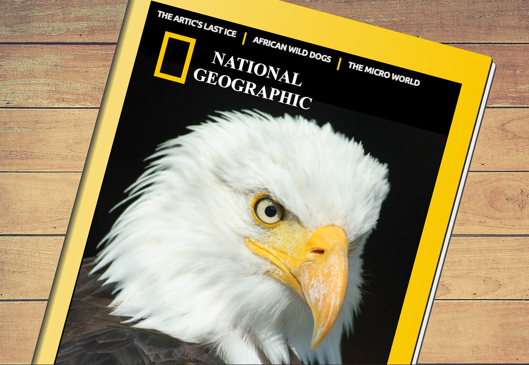 15+ CSS Magazine Layouts - CodeWithRandom