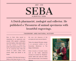 15+ CSS Magazine Layouts - CodeWithRandom