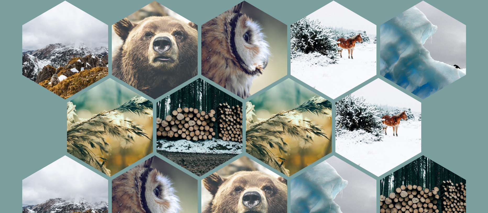 35 CSS Hexagons Examples