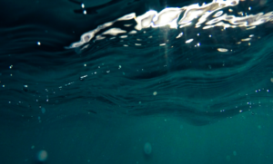 20+ CSS Water Effects - CodeWithRandom