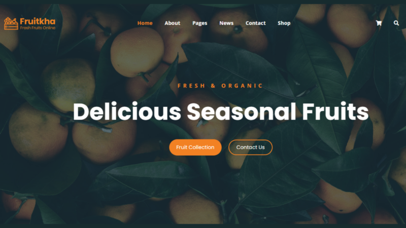 20 Responsive Ecommerce Website Templates Using Html With Css Codewithrandom